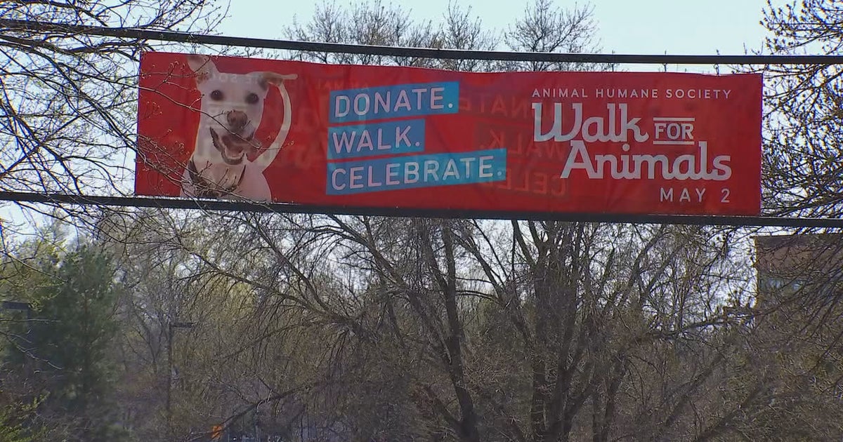 Animal Humane Society's 'Walk for Animals' will go on but from a ...