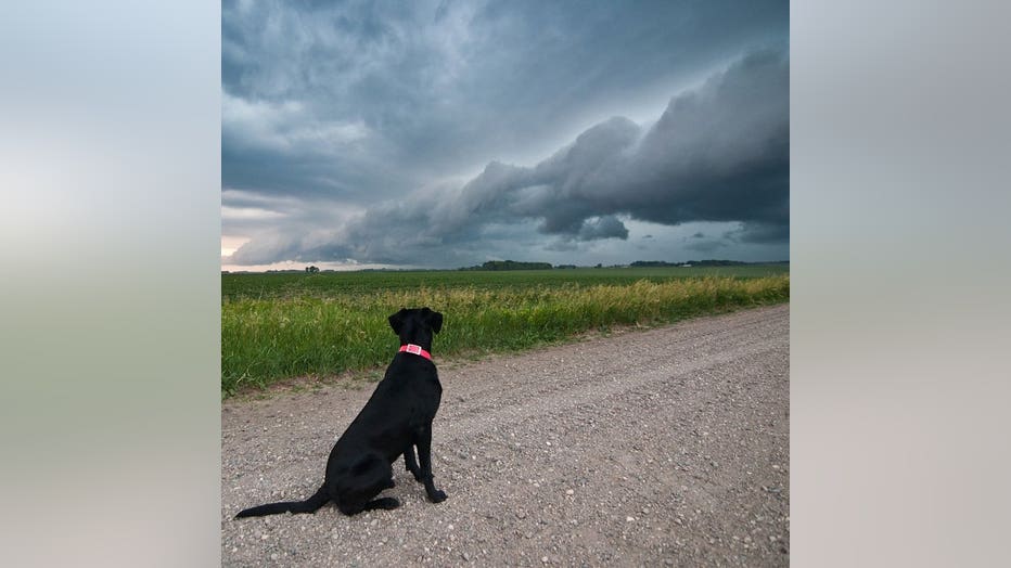 Rain Totals More Than An Inch For Parts Of Twin Cities Metro Area