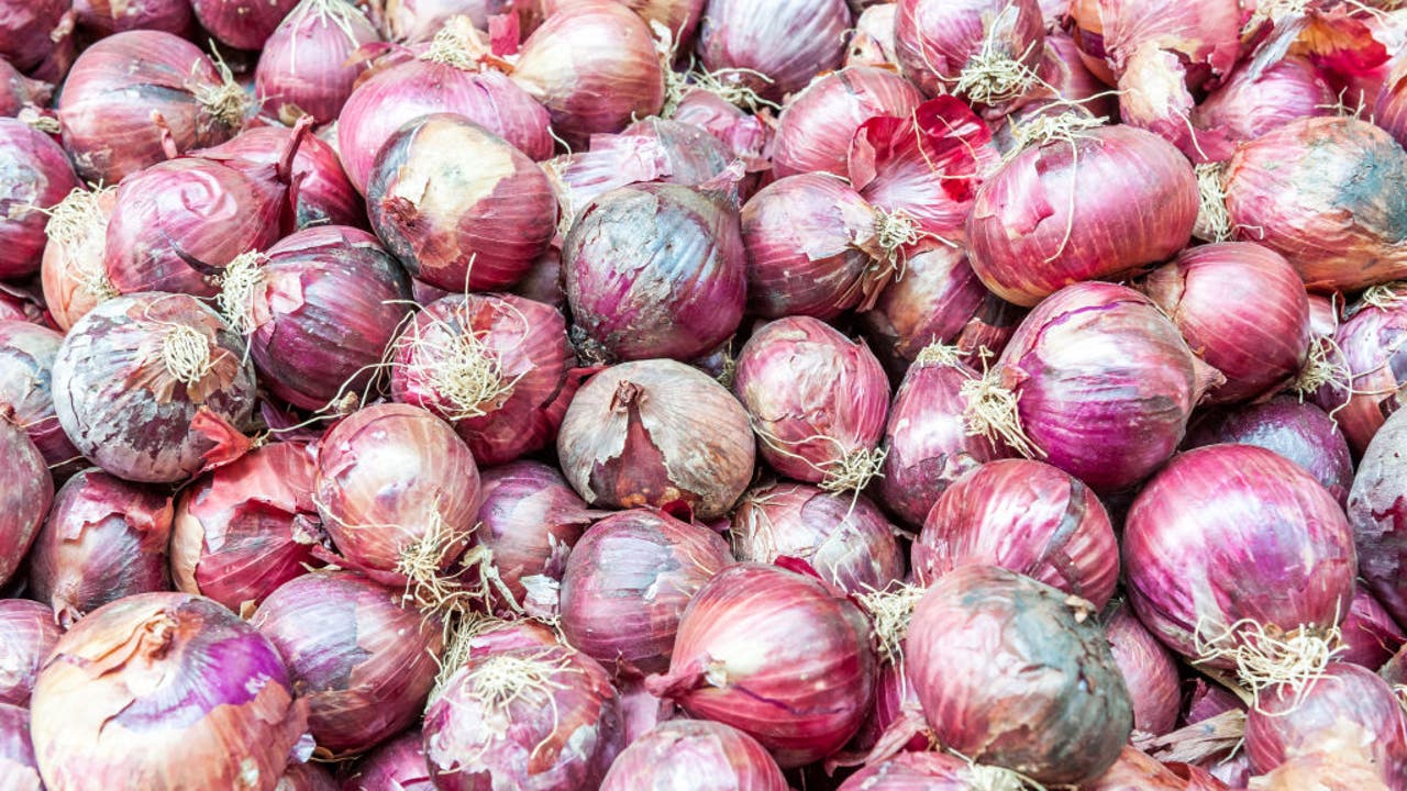 14 Minnesota cases linked to recalled onions in Salmonella outbreak ... 14 Minnesota cases linked to recalled onions in Salmonella outbreak ...