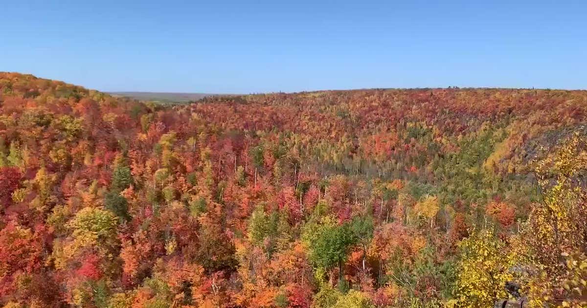 Five fall color drives to take in Minnesota this fall | FOX 9 ...