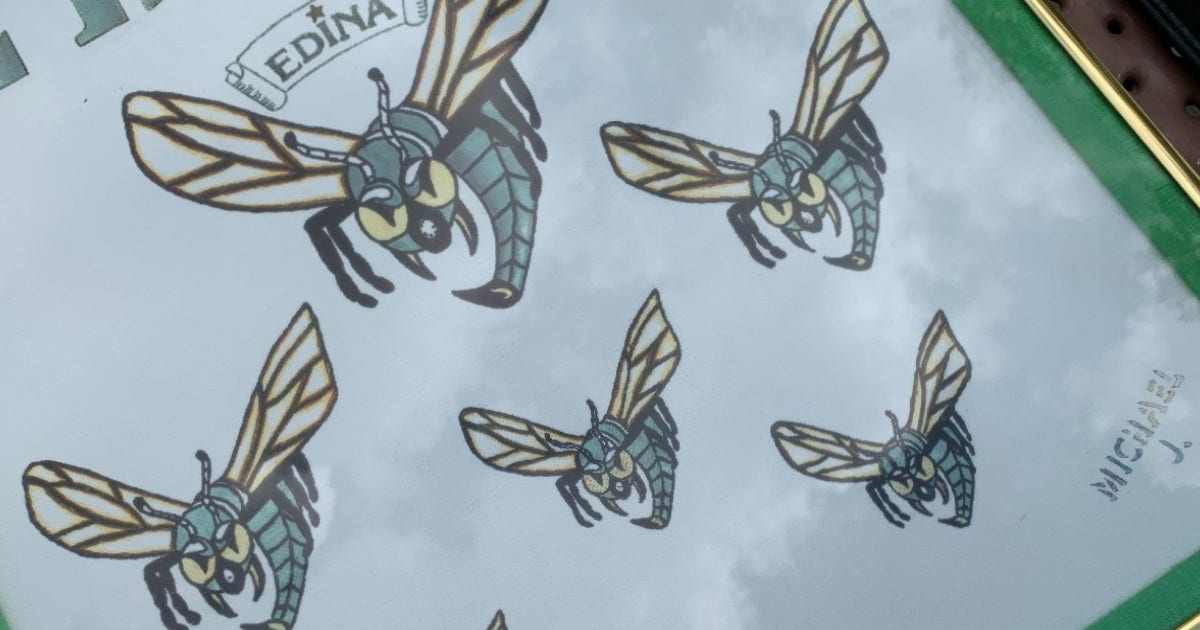 Battle buzzing over 40-year-old Hornet logo in Edina | FOX 9 ...