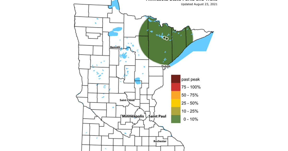DNR launches Fall Color Finder for 2021 | FOX 9 Minneapolis-St. Paul