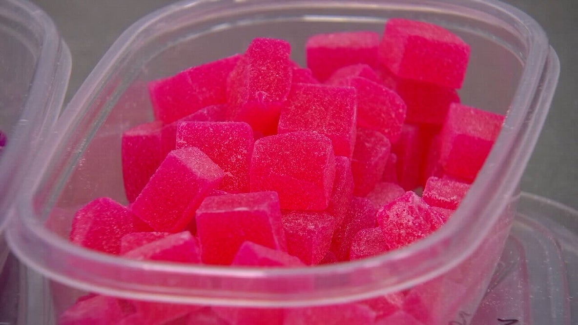 FOX 9 Minneapolis-St. Paul