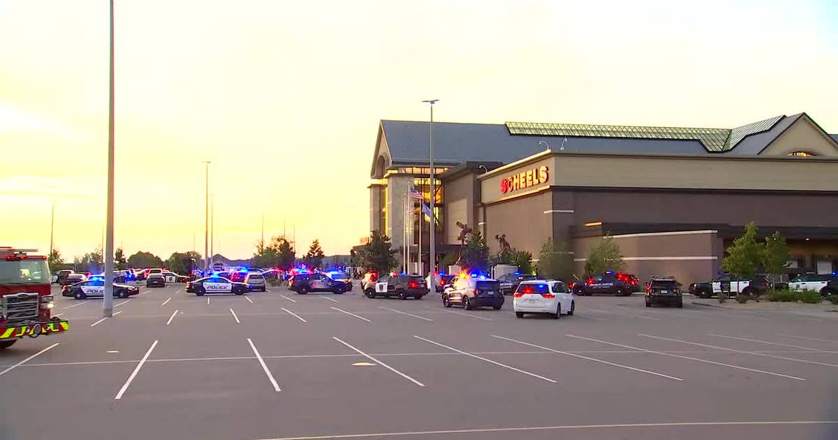 Gun sales protocol questioned, following Scheels incident | FOX 9 ...
