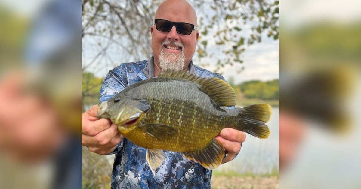 Angler's sunfish ties Minnesota state record | FOX 9 Minneapolis-St. Paul