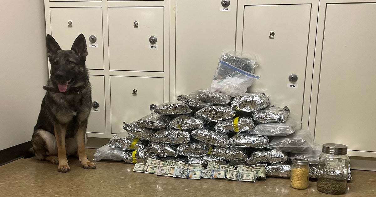 Southern Minnesota K-9 helps find 30 pounds of drugs during first day ...