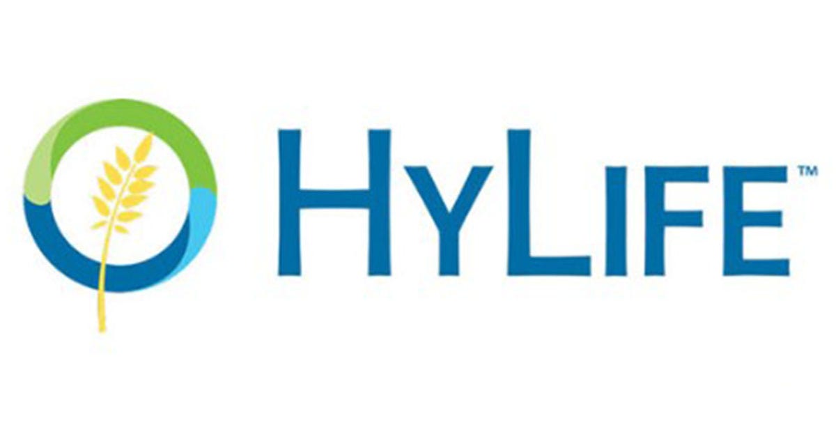 HyLife Windom announces sale, layoff potential at southwest Minnesota ...