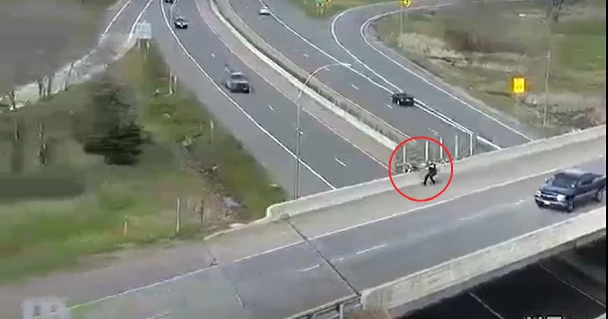 Person fleeing police jumps off bridge: Video | FOX 9 Minneapolis-St. Paul
