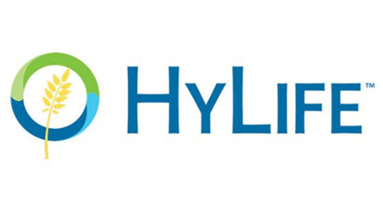 HyLife Windom announces sale, layoff potential at southwest Minnesota ...