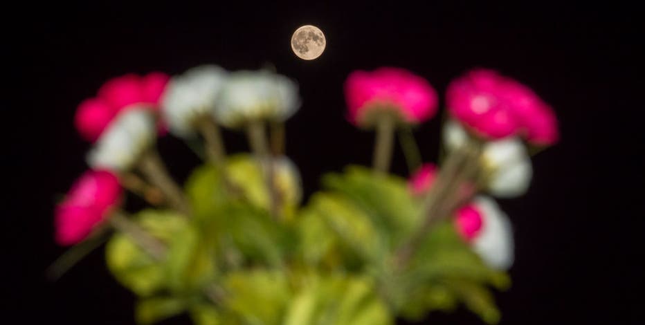 2018 Full Moon May Flower
