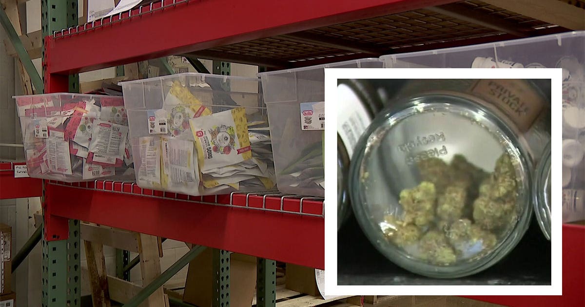 Minnesota marijuana: Home delivery rules, timeline | FOX 9 Minneapolis ...