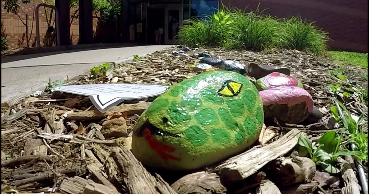 Growing 'rock snake' in West St. Paul becomes community collaboration ...