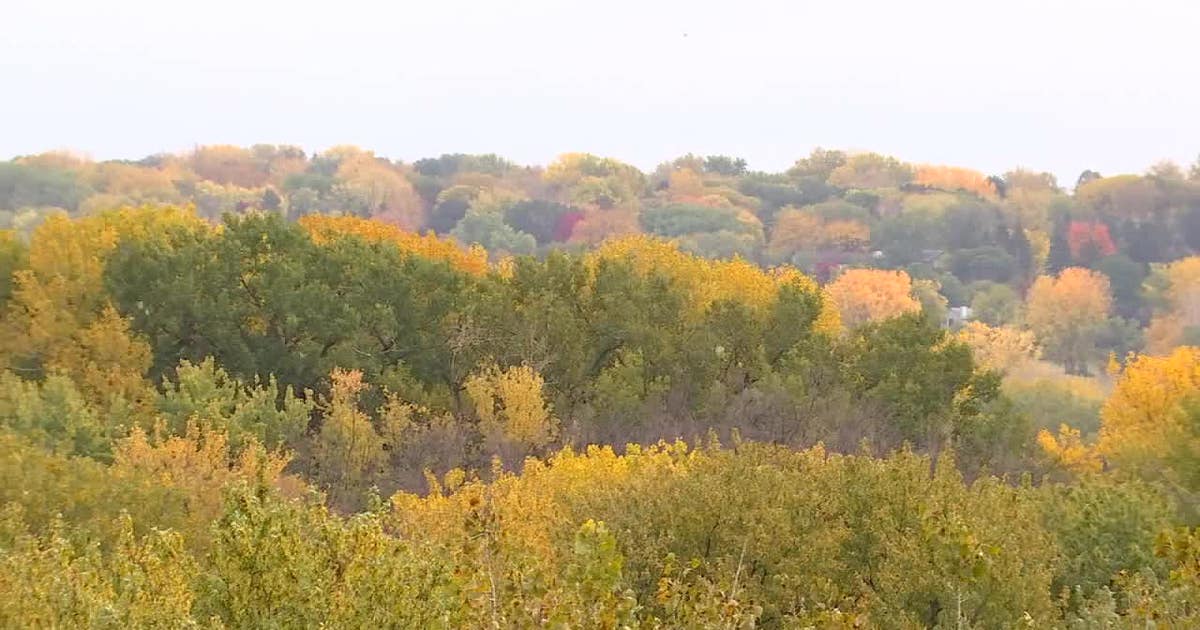 Minnesota fall colors: What this year's colors will look like, and ...