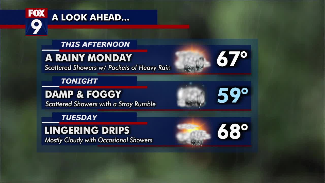 Minnesota weather: Rainy start to work week | FOX 9 Minneapolis-St. Paul