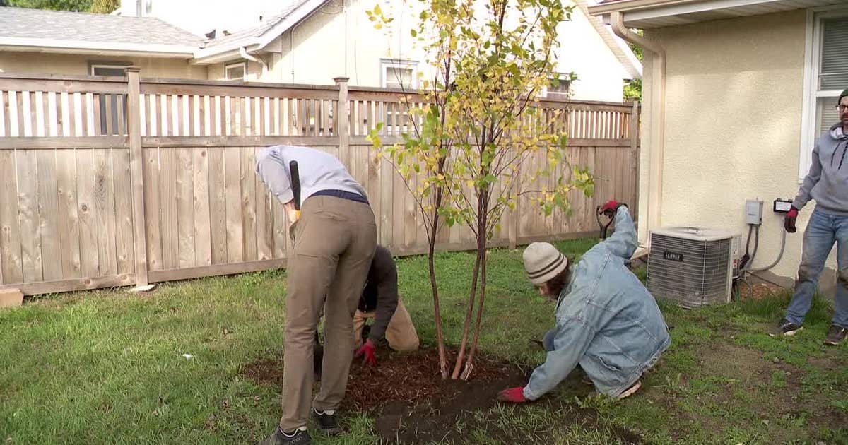 Frogtown Green working to plant trees in St. Paul | FOX 9 Minneapolis ...