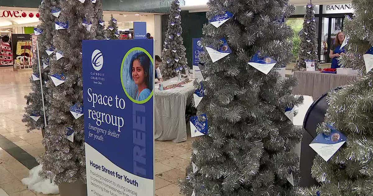 Catholic Charities Giving Tree raises awareness to trauma informed care ...