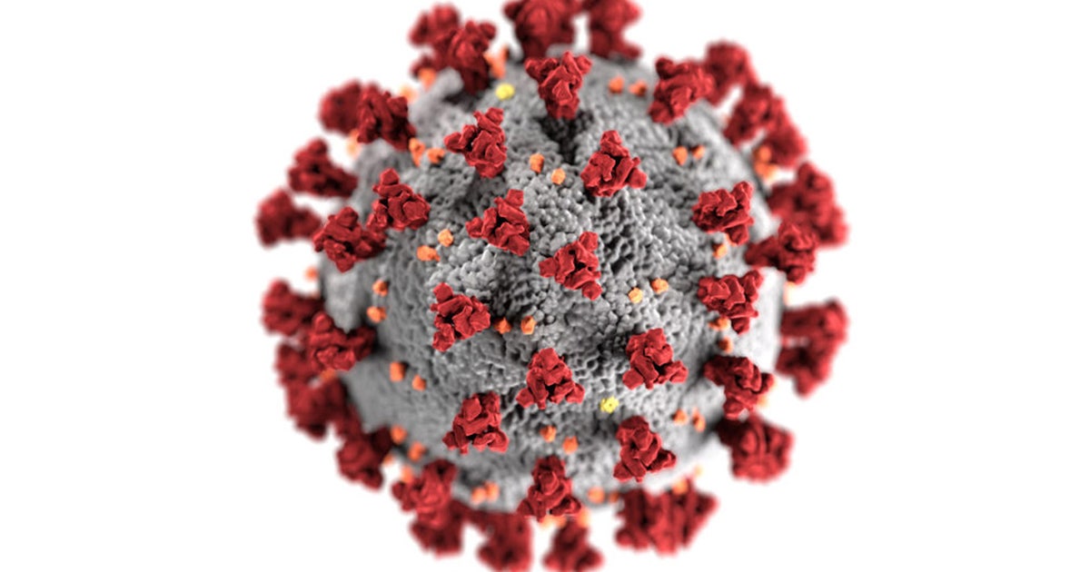 JN.1 COVID-19 variant: What to know about the latest virus strain | FOX ...