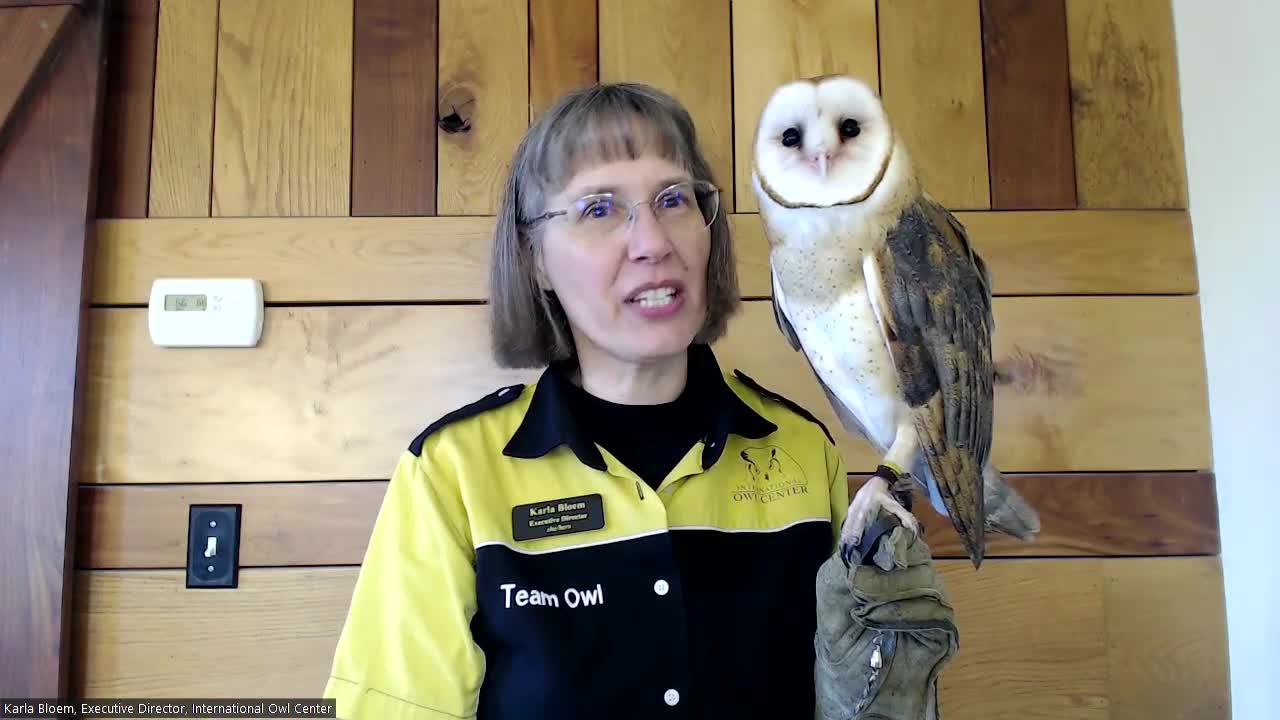 International Festival of Owls back in southern Minnesota this weekend ...