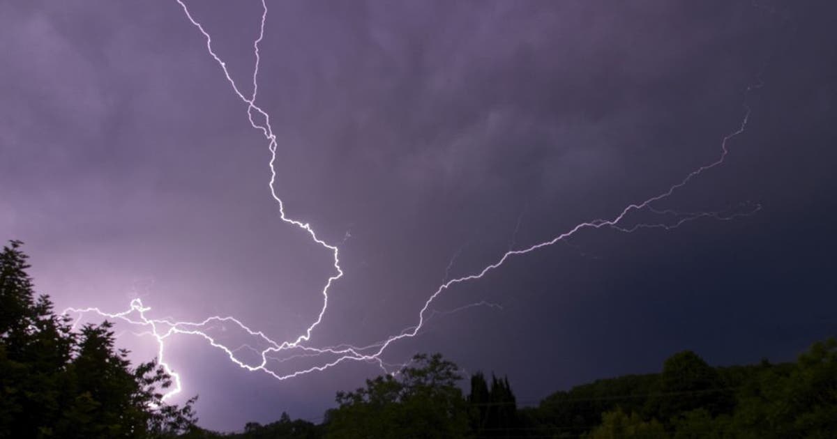 Lightning strike sends tree shrapnel into St. Paul house, injures 1 ...