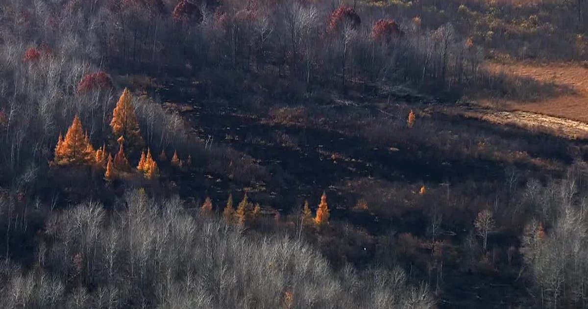 Minnesota wildfire that closed state forest now 20% contained | FOX 9 ...