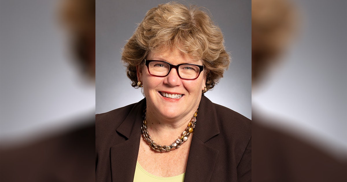 MN election results: Ann Johnson Stewart wins District 45, DFL keeps MN ...
