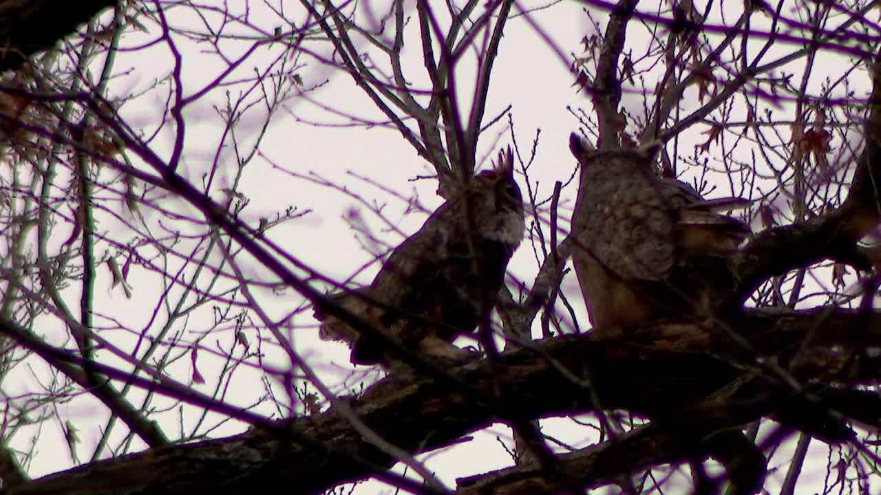 Roberts Bird Sanctuary visitors in Minneapolis urged to stop disturbing ...