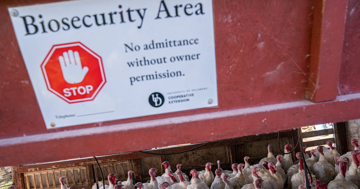 Human bird flu infection case reported in Barron Co., WI | FOX 9 ...