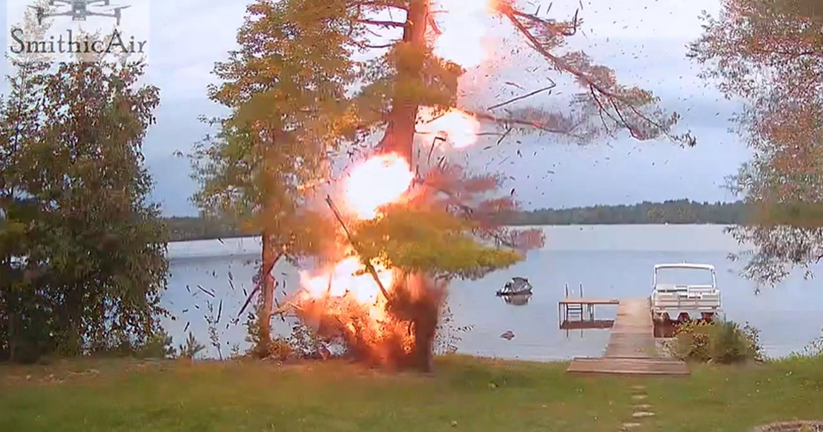 Dramatic video shows lightning strike exploding tree in Wisconsin ...