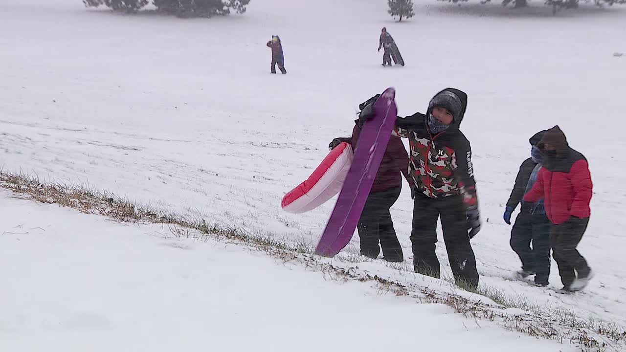 Minnesotans embrace snowy weekend with sledding and tree hunting | FOX ...