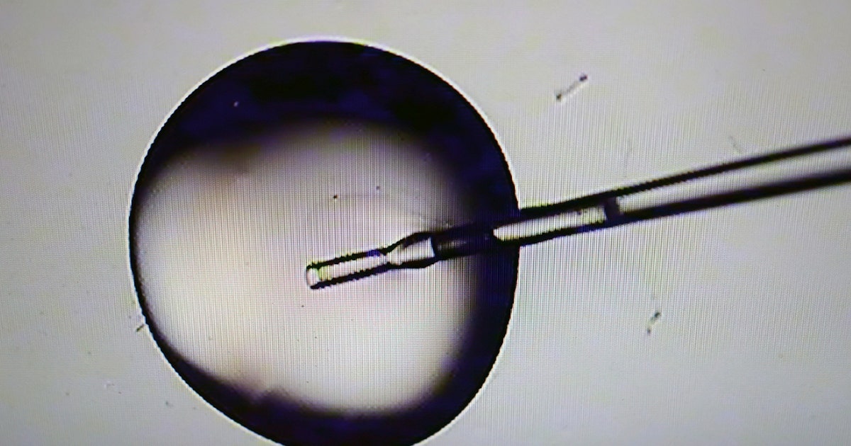 Minnesota families push for IVF insurance coverage after 2 failed ...