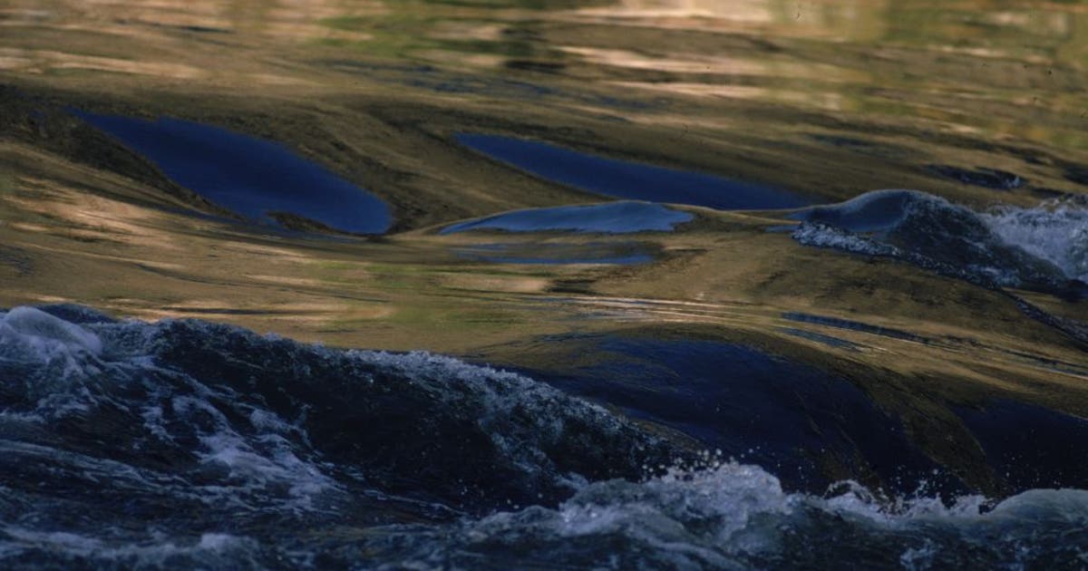 Boat crash on Lake Vermilion leaves 1 dead, 3 injured | FOX 9 ...