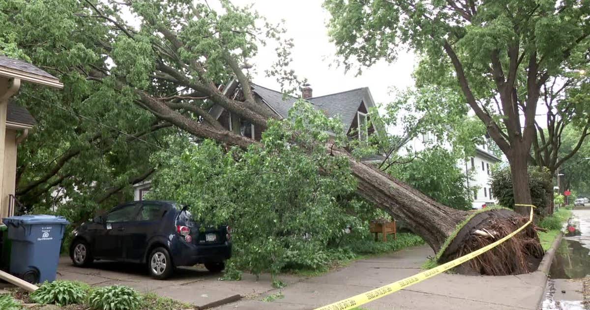 MN weather: Overnight storms topple trees, cause damage across ...