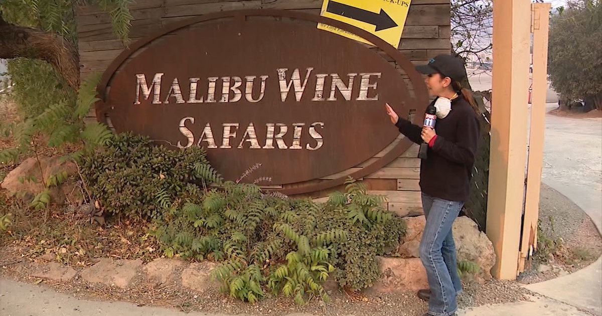 Malibu Wine Safaris: Stanley the Giraffe is OK | FOX 11 Los Angeles