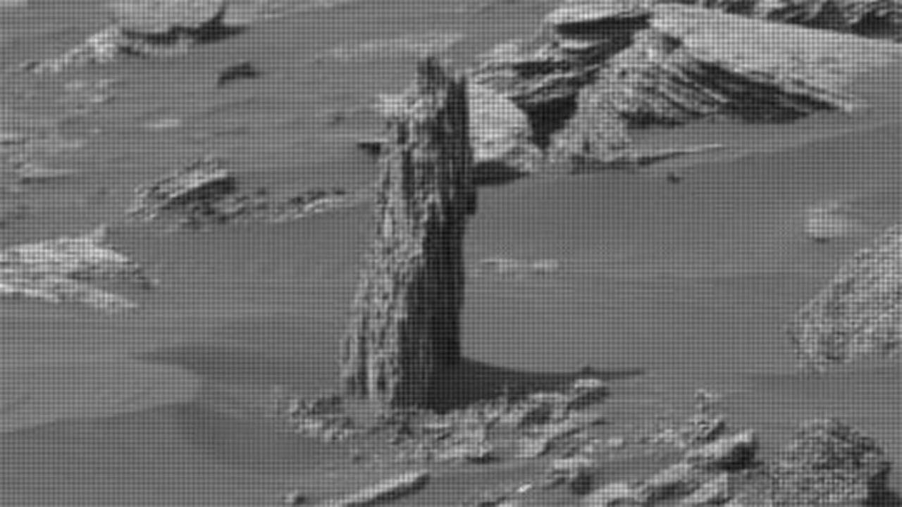 'Ancient tree stump' spotted on Mars? | FOX 11 Los Angeles