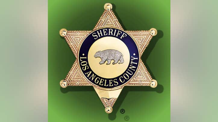 Los Angeles County Sheriff’s deputy charged with obstructing officer ...