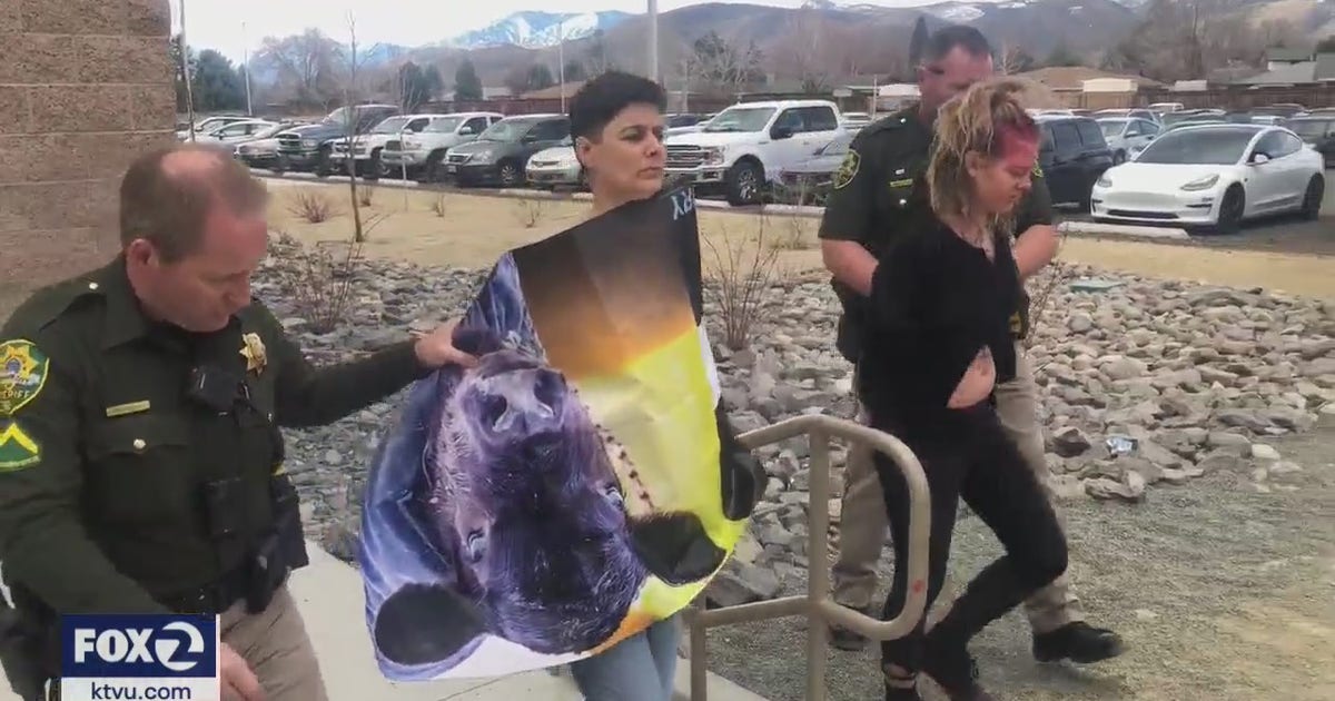 Topless protesters demand Bernie Sanders cut his ties to the dairy ...