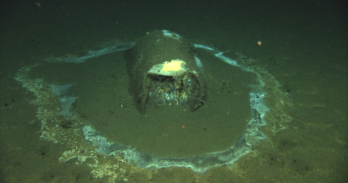 Toxic dump site on ocean floor between Long Beach, Catalina Island much ...