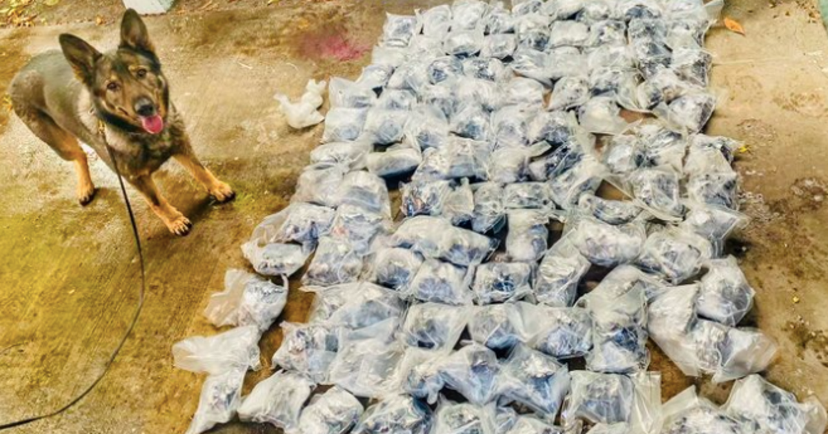 LAPD police dog sniffs out over 100 lbs. of meth, heroin | FOX 11 Los ...
