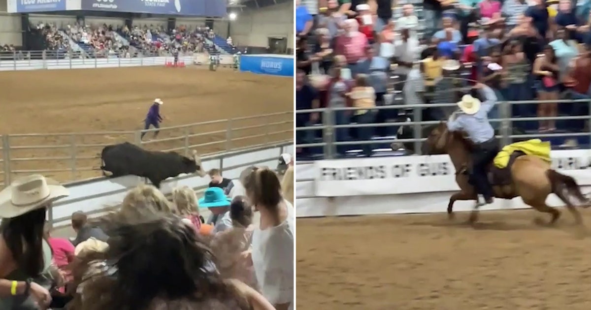 Watch: Bull runs into rodeo crowd after escaping from pen at Florida ...
