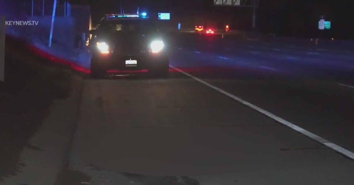 Mountain lion hit and killed on 405 Freeway in Sepulveda Pass | FOX 11 ...