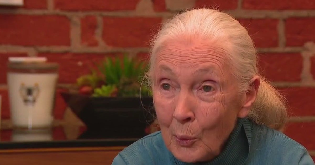 Jane Goodall discusses power of youth movement, importance of ...