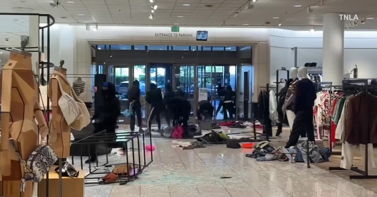 11 'flash mob' robbery suspects linked to 4 SoCal smash-and-grabs ...