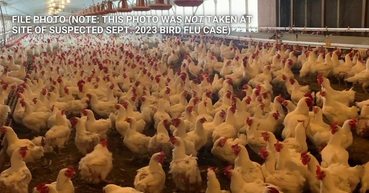 Preliminary test results reveal birds did not have HPAI after initial ...