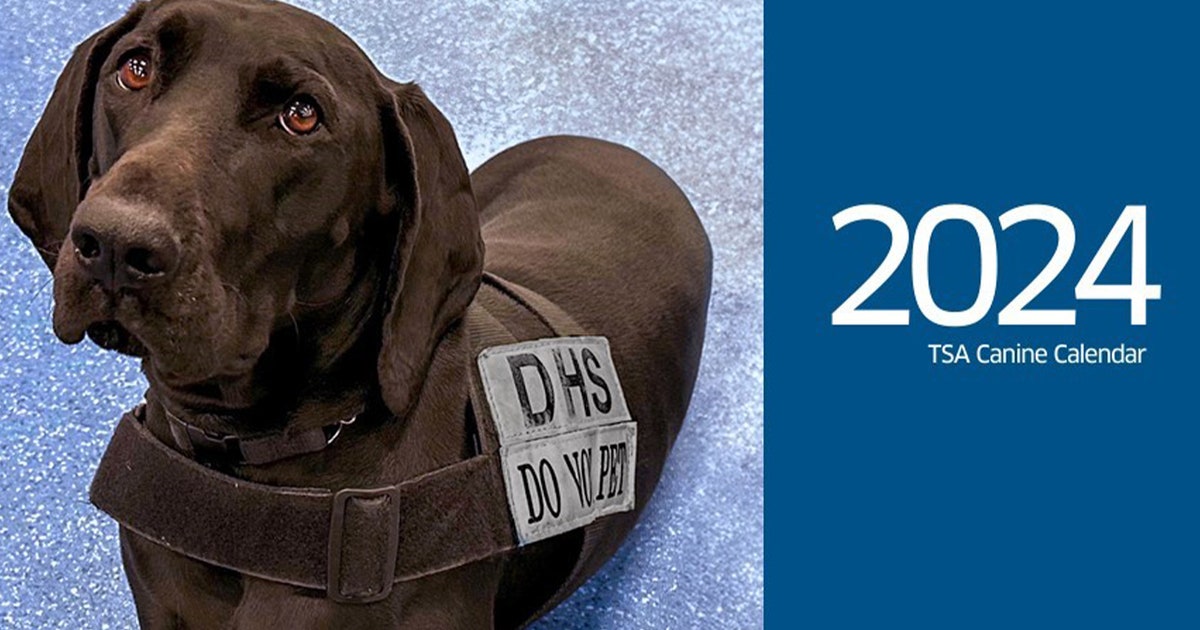 TSA releases 2024 canine calendar: Download it for free | FOX 11 Los ...