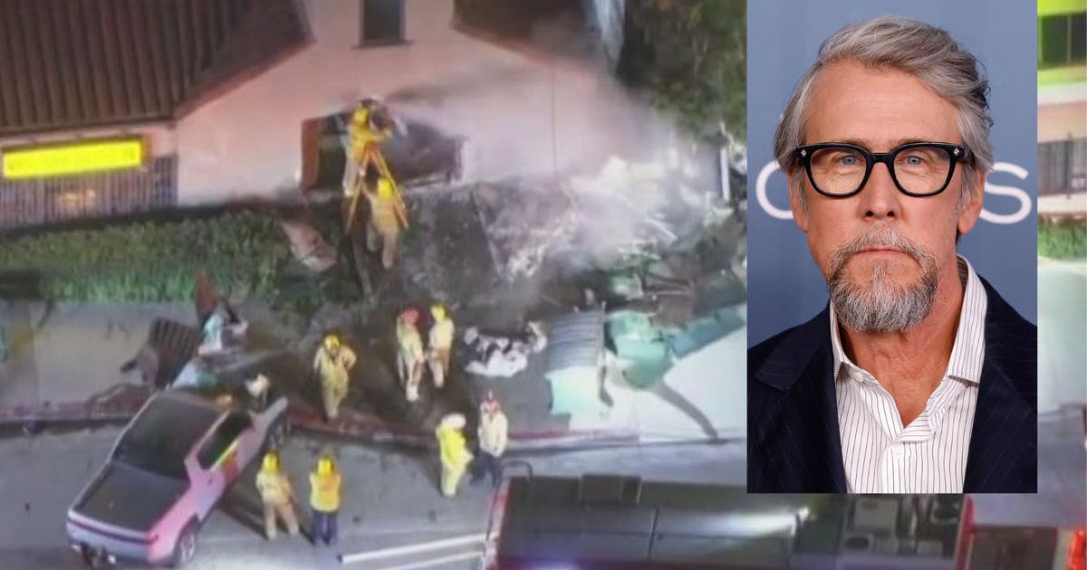 ‘Succession’ actor Alan Ruck sued over Hollywood pizza shop crash | FOX ...