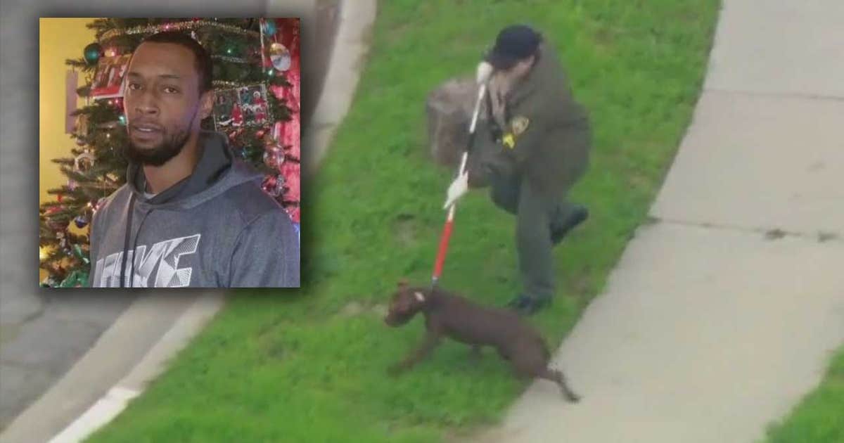 Compton pitbull breeder killed was doing it 'to make money,' friend ...