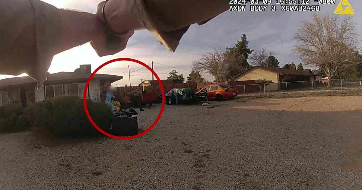 Ryan Gainer: California deputies kill 15-year-old armed with garden ...
