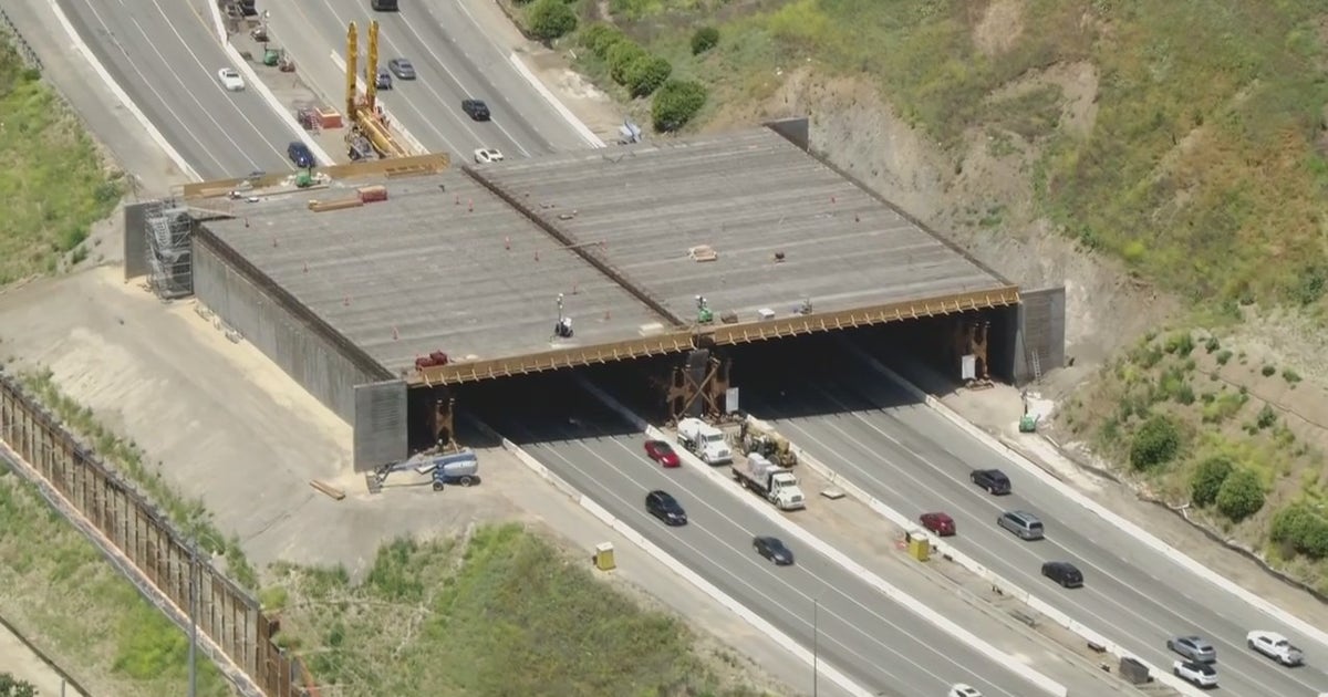 Construction continues on Agoura Hills wildlife crossing over 101 ...