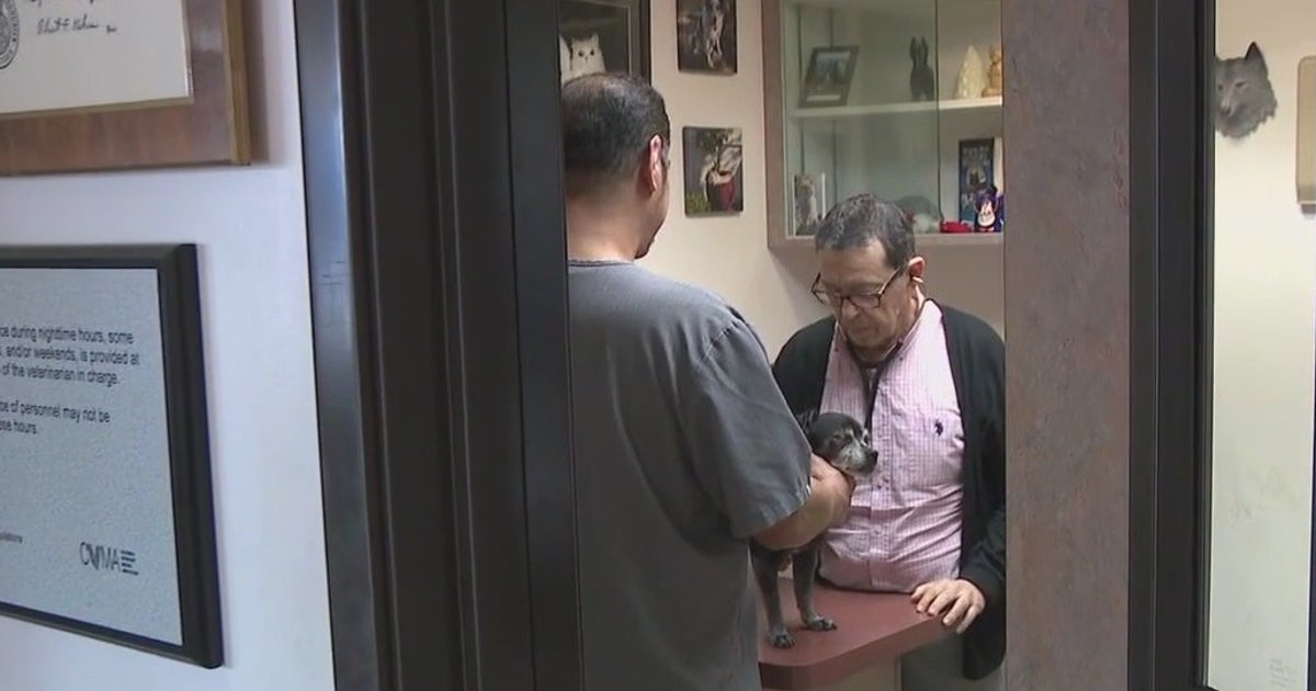 West LA vet clinic lives at business after losing home in Palisades ...