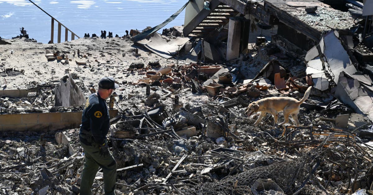 IRS offers tax relief, extensions to California wildfire victims: What ...